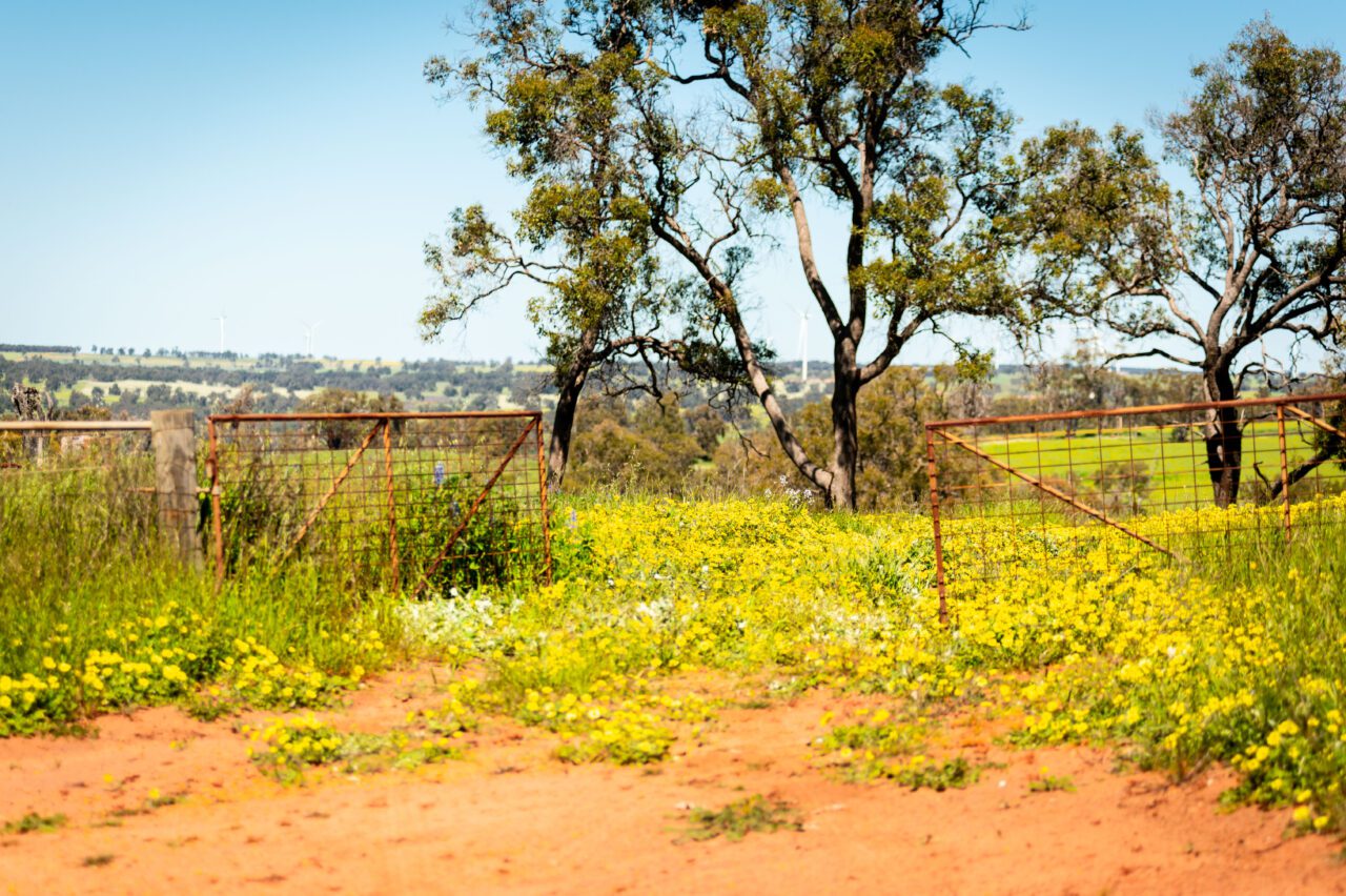 Transforming Australian Agriculture: The Power of Remote Sensing, GIS ...